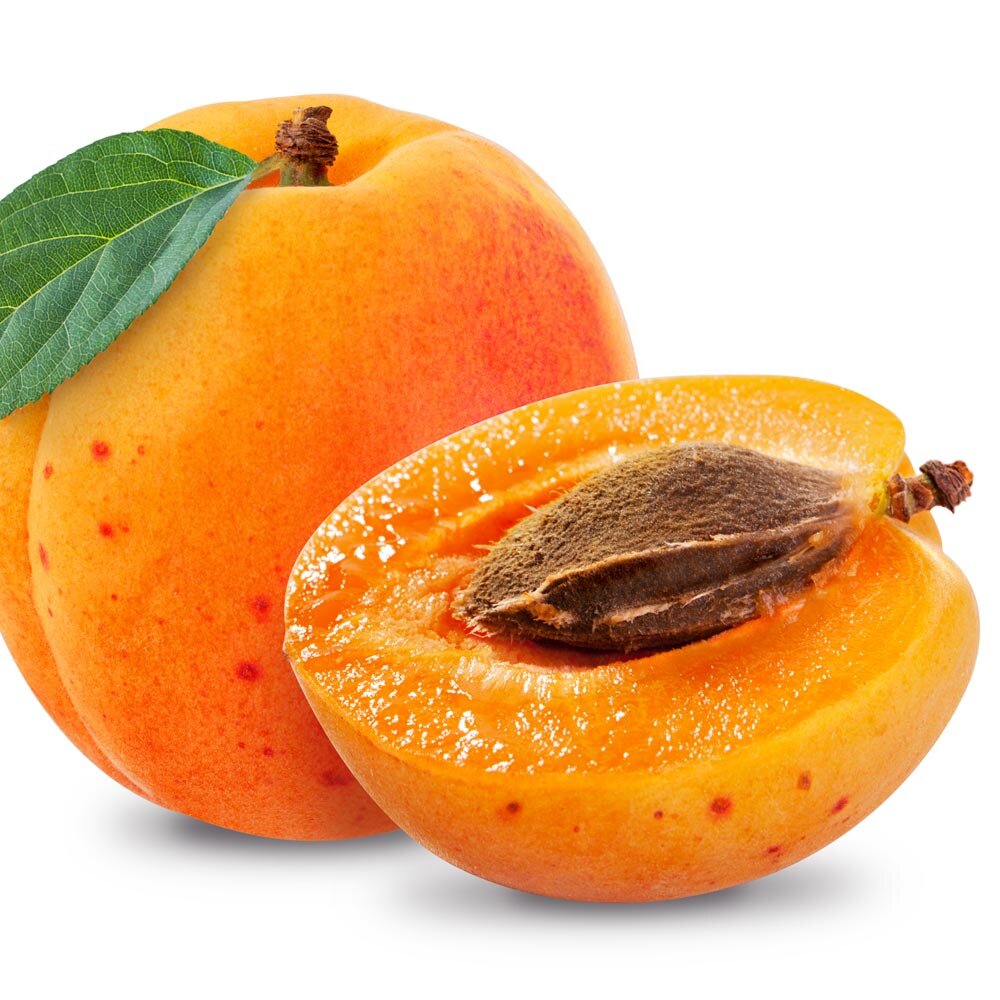 Marille 'Bergeron' Halbstamm online bestellen und liefern lassen - Ga, 39,90