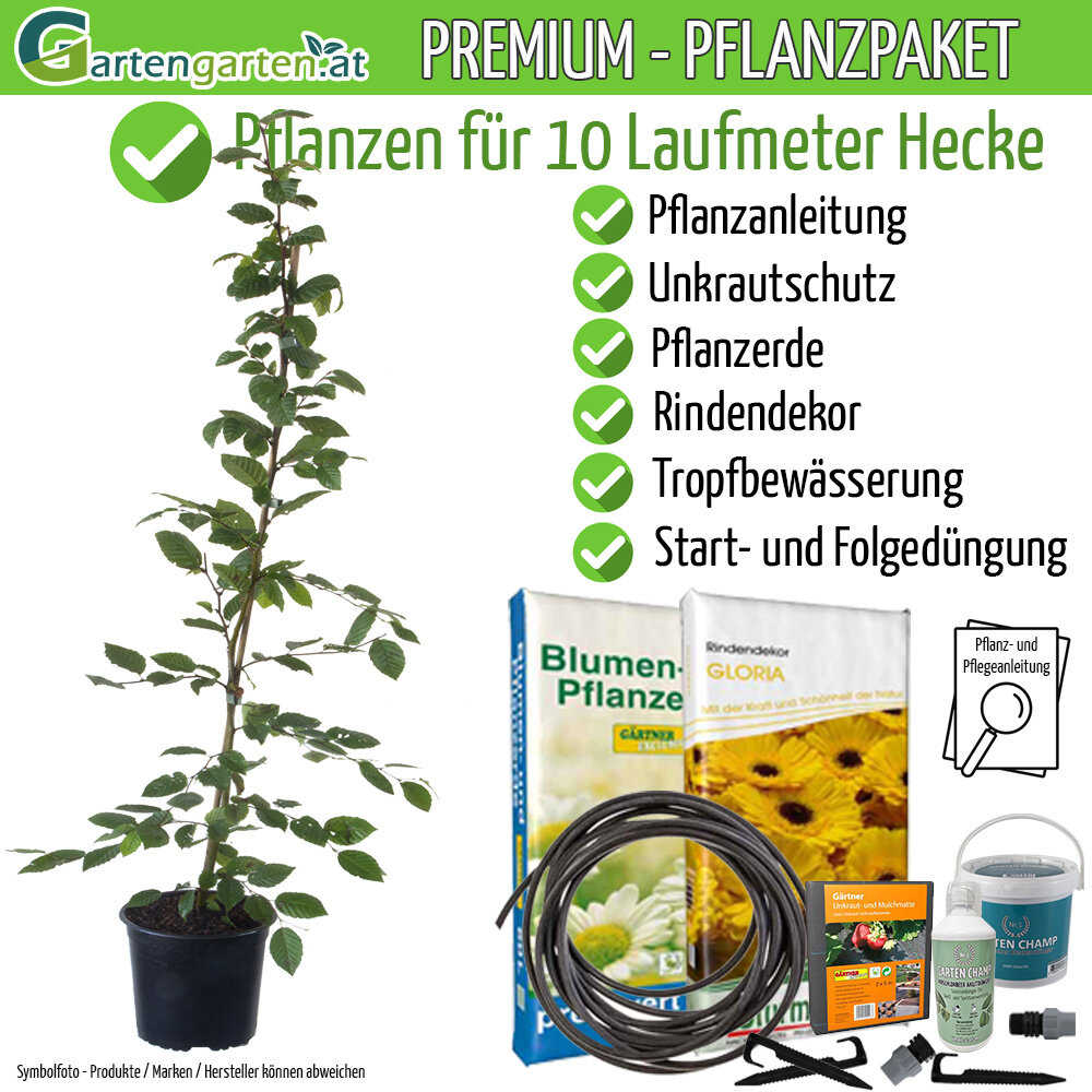 Heckenpaket 10 Meter - Hainbuche 80-100cm - GartenGarten Pflanzenvers ...